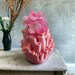 Sea Coral Vase Beach Themed Flower Pot Beautiful Succulent Planter ...