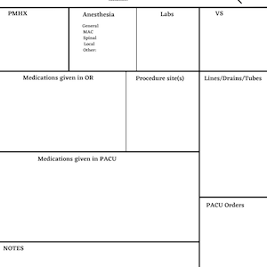 PACU Nurse Report Sheet - Etsy