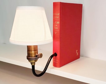 Bookshelf Lamp. Bookcase Light. Bookshelf Decor. Home Library/home ...