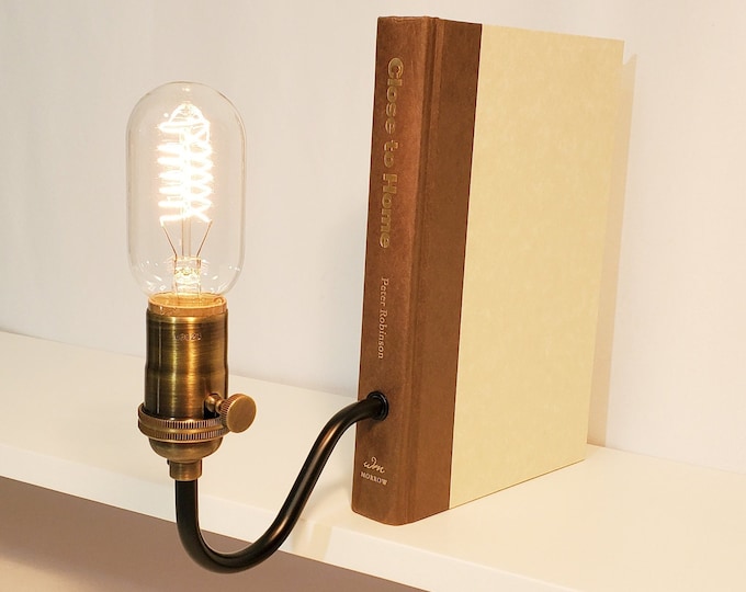 Bookshelf Lamp. Bookcase Light. Bookcase Decor. Bookshelf Decor. Book ...
