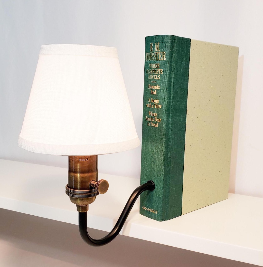 Bookshelf Lamp. Bookcase Light. Bookshelf Decor. Home Library Decor ...