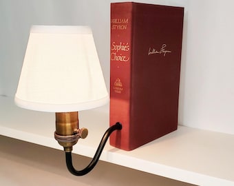 Bookshelf Lamp. Bookcase Light. Bookshelf Decor. Home Library/home ...