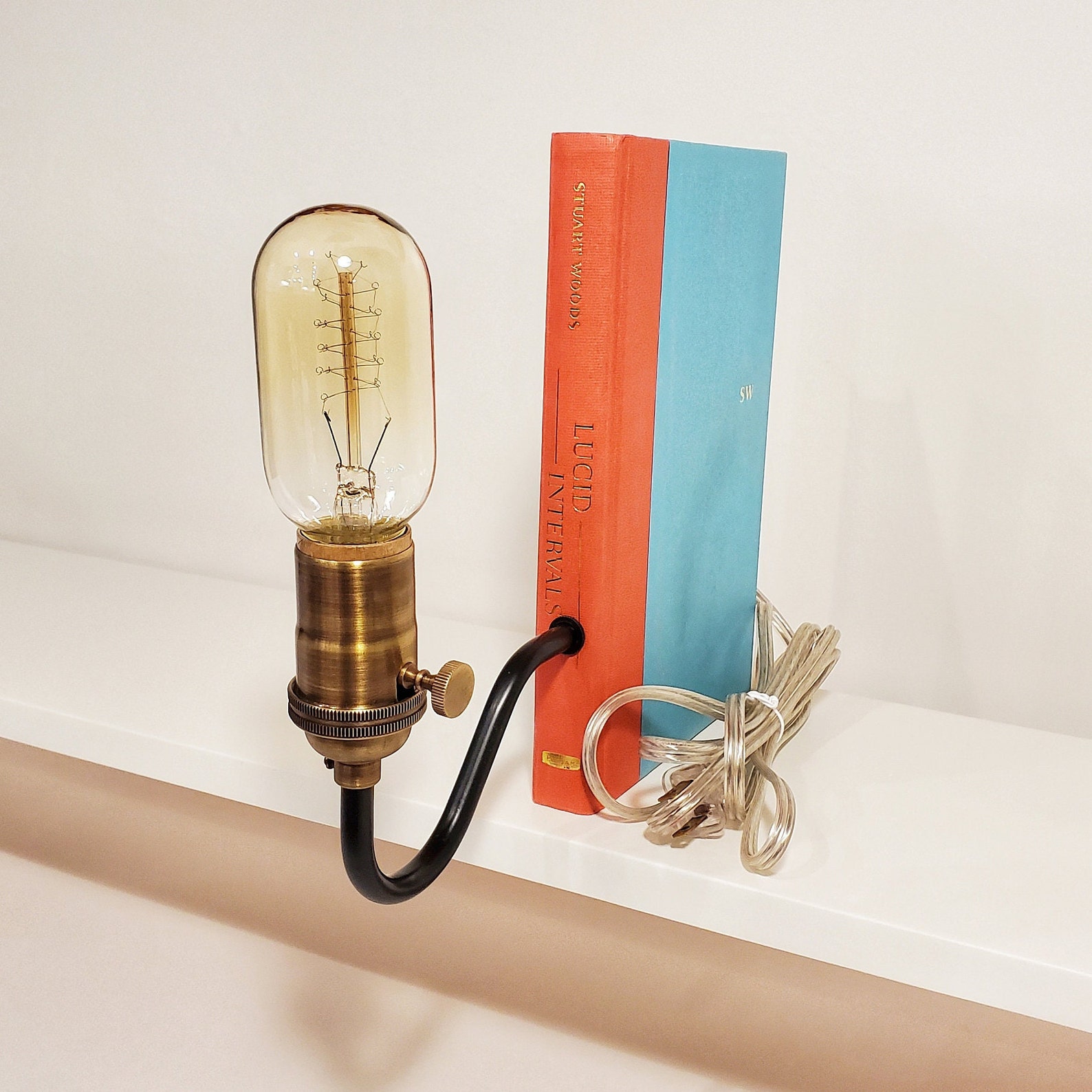 Bookshelf Lamp. Bookcase Light. Ideal for Book Lovers. Bookcase ...
