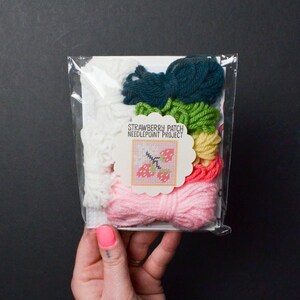 DIY Strawberry Patch Needlepoint Starter Kit Project Beginner - Etsy
