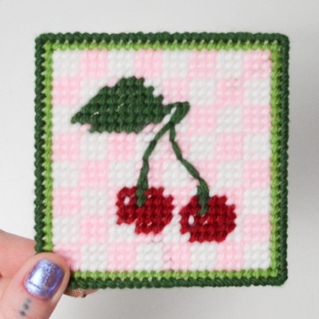 DIY Cherry Needlepoint Starter Kit Project Beginner Plastic Canvas ...