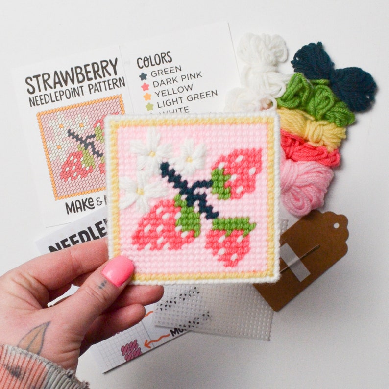 DIY Strawberry Patch Needlepoint Starter Kit Project Beginner - Etsy