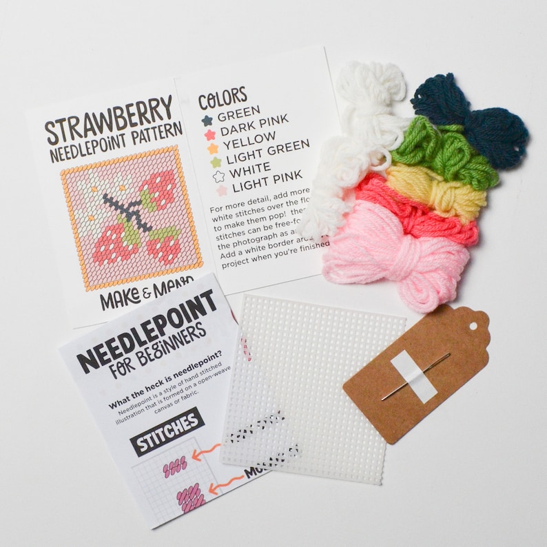 DIY Strawberry Patch Needlepoint Starter Kit Project Beginner - Etsy