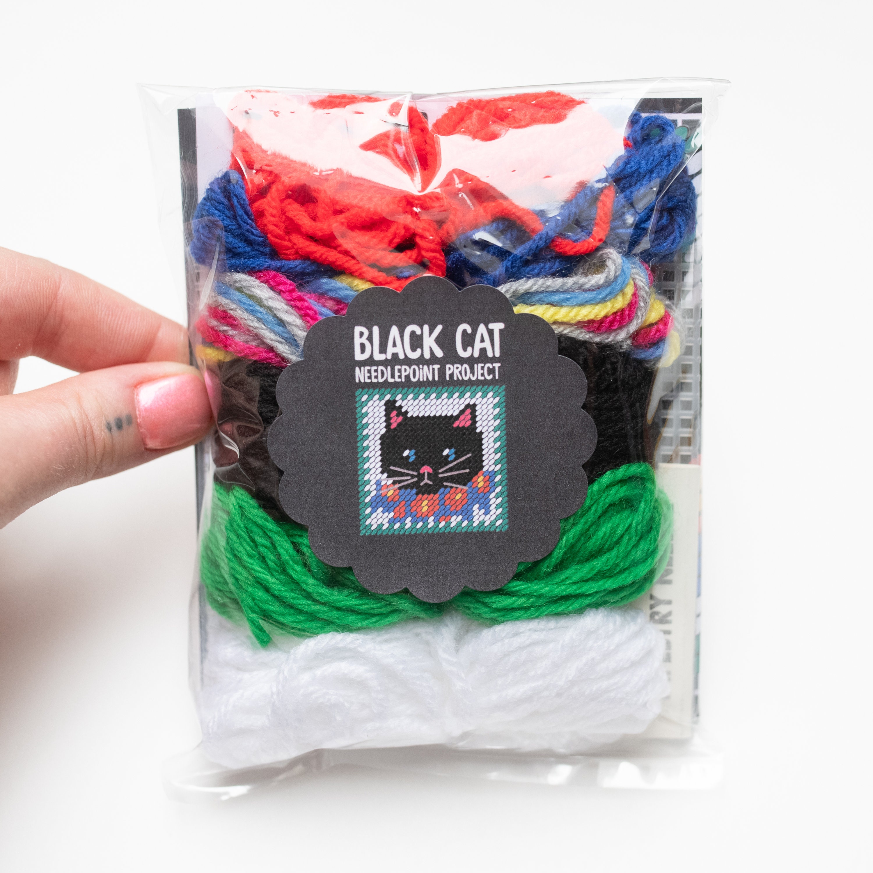 DIY Black Cat Needlepoint Starter Kit Project Beginner - Etsy