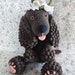 Cocker Spaniel Crochet Pattern - Etsy