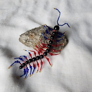 Centipede - Etsy
