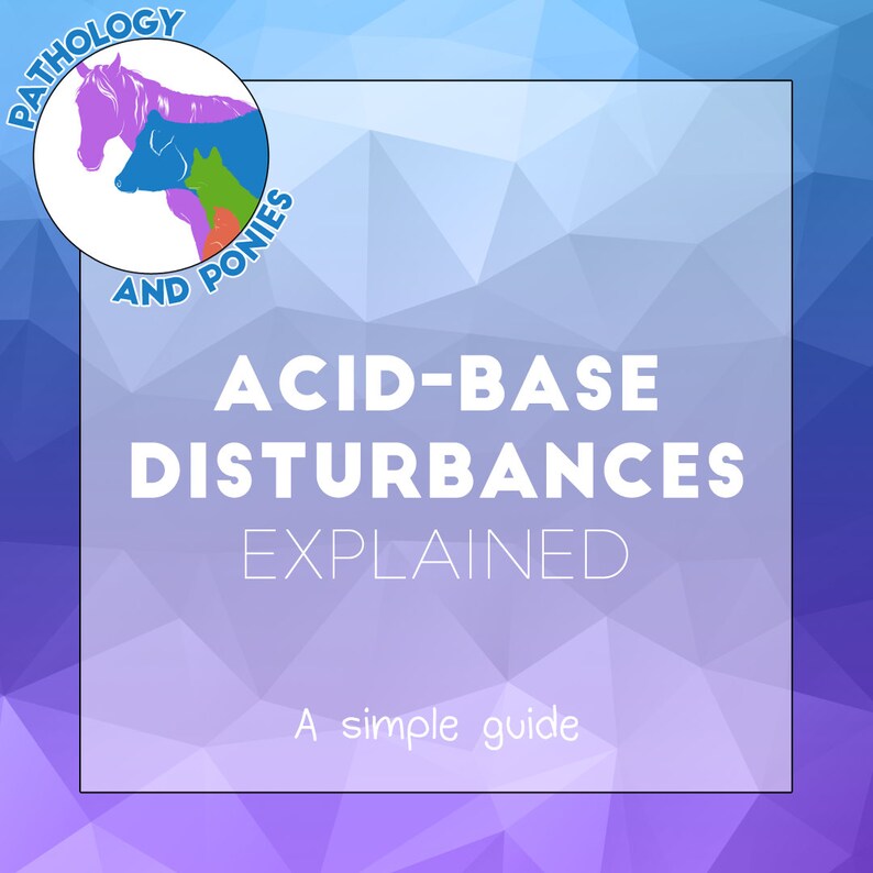 Acid-base Disturbances Explained Simple Guide for Veterinary School ...