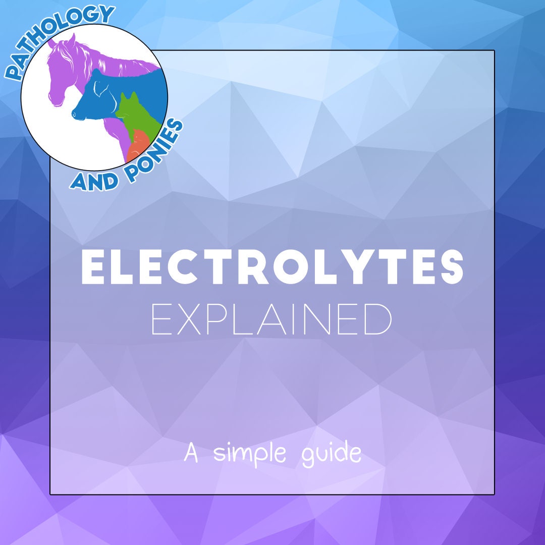 Electrolytes Explained - Simple Guide for Veterinary School, NAVLE ...