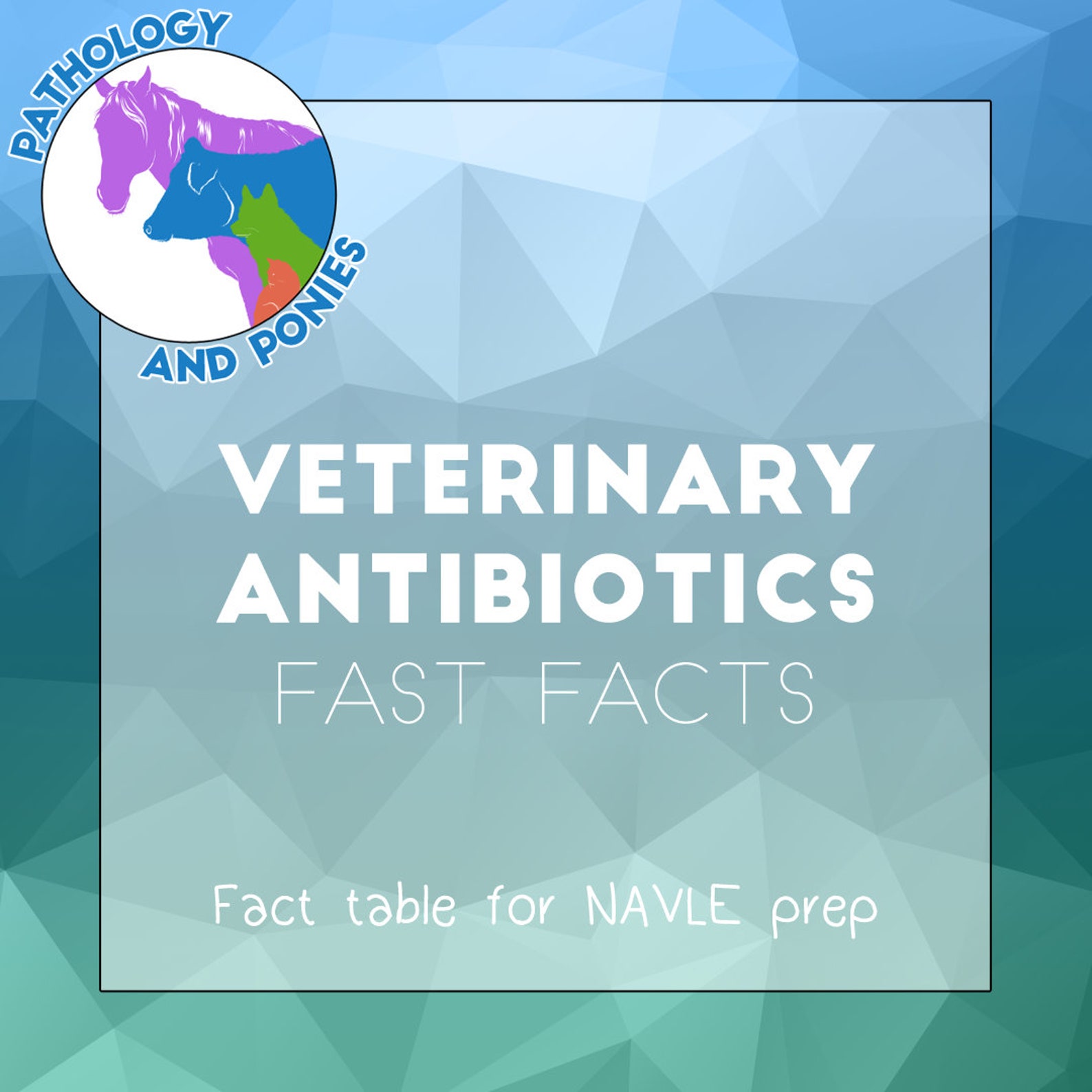 Veterinary Antibiotics Fast Fact Table - Quick Reference Fact Table for ...