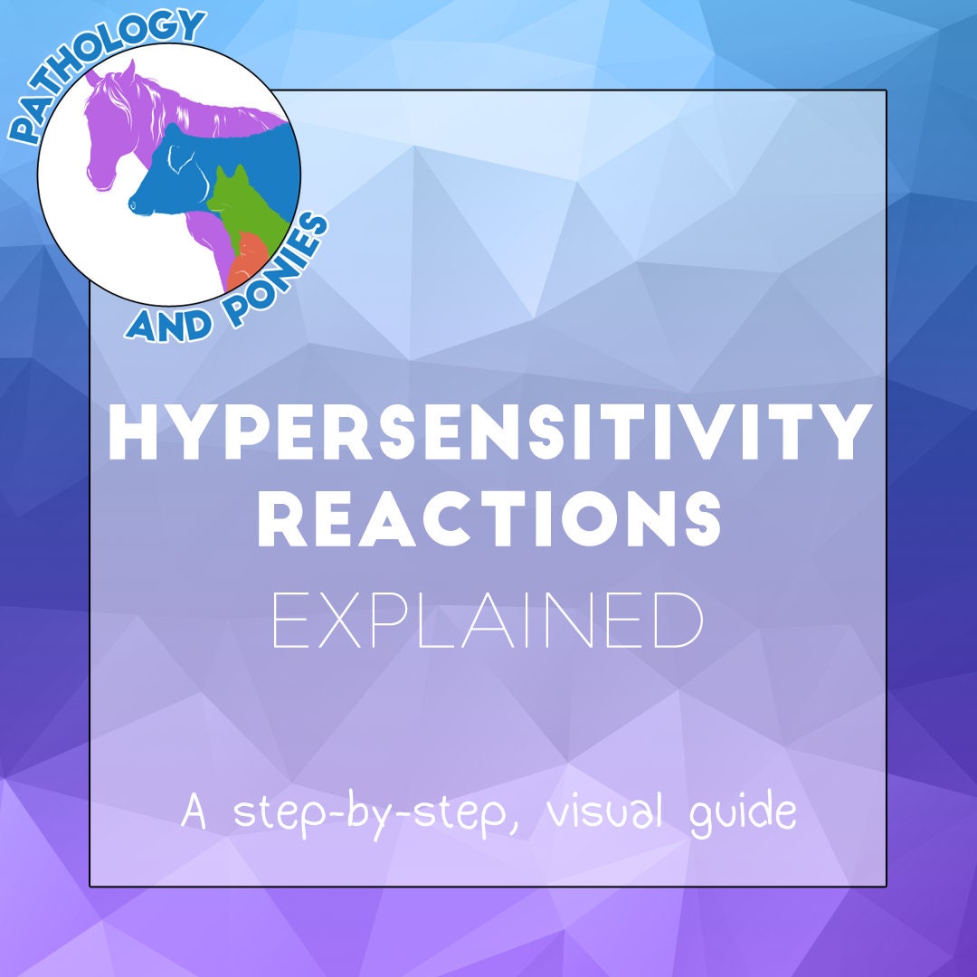 Hypersensitivity Reactions Explained - Step-by-step Visual Guide for ...