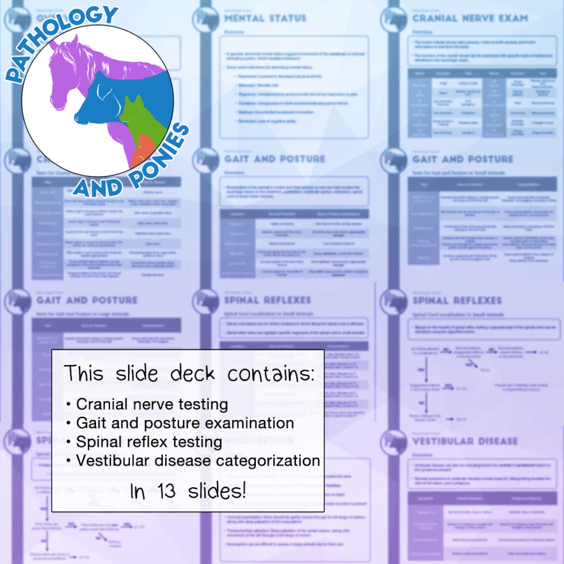Neurologic Examination Explained Step-by-step Guide for - Etsy