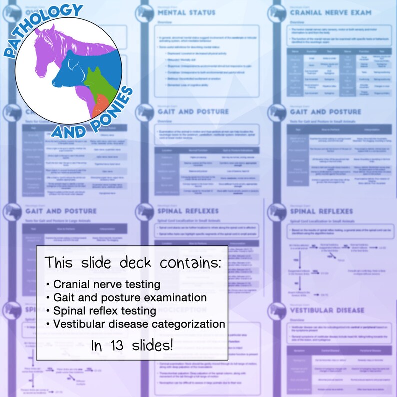 Neurologic Examination Explained Step-by-step Guide for - Etsy