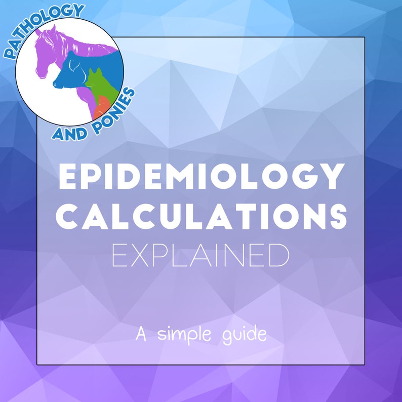 Epidemiology Calculations Explained Simple Guide for - Etsy