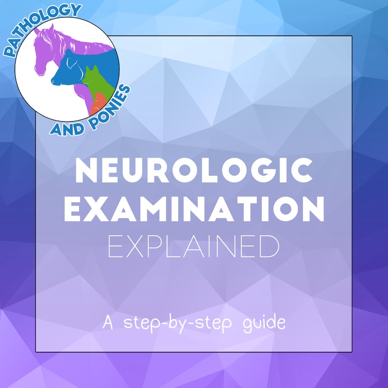 Neurologic Examination Explained Step-by-step Guide for - Etsy