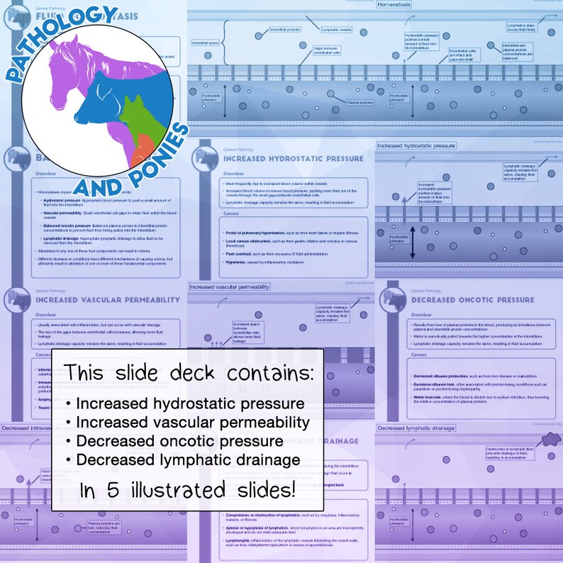 Causes of Edema Explained - Step-by-step Visual Guide for Veterinary ...