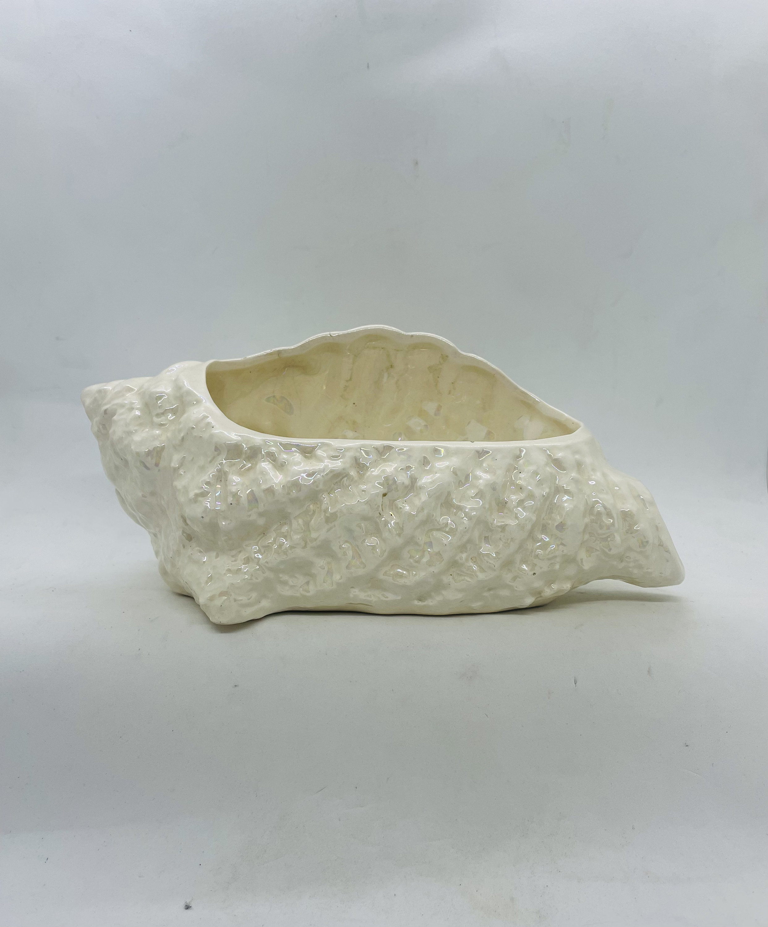 Opalescent Conch Shell Planter- Made in Japan, Rainbow - Etsy