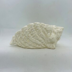 Opalescent Conch Shell Planter- Made in Japan, Rainbow - Etsy