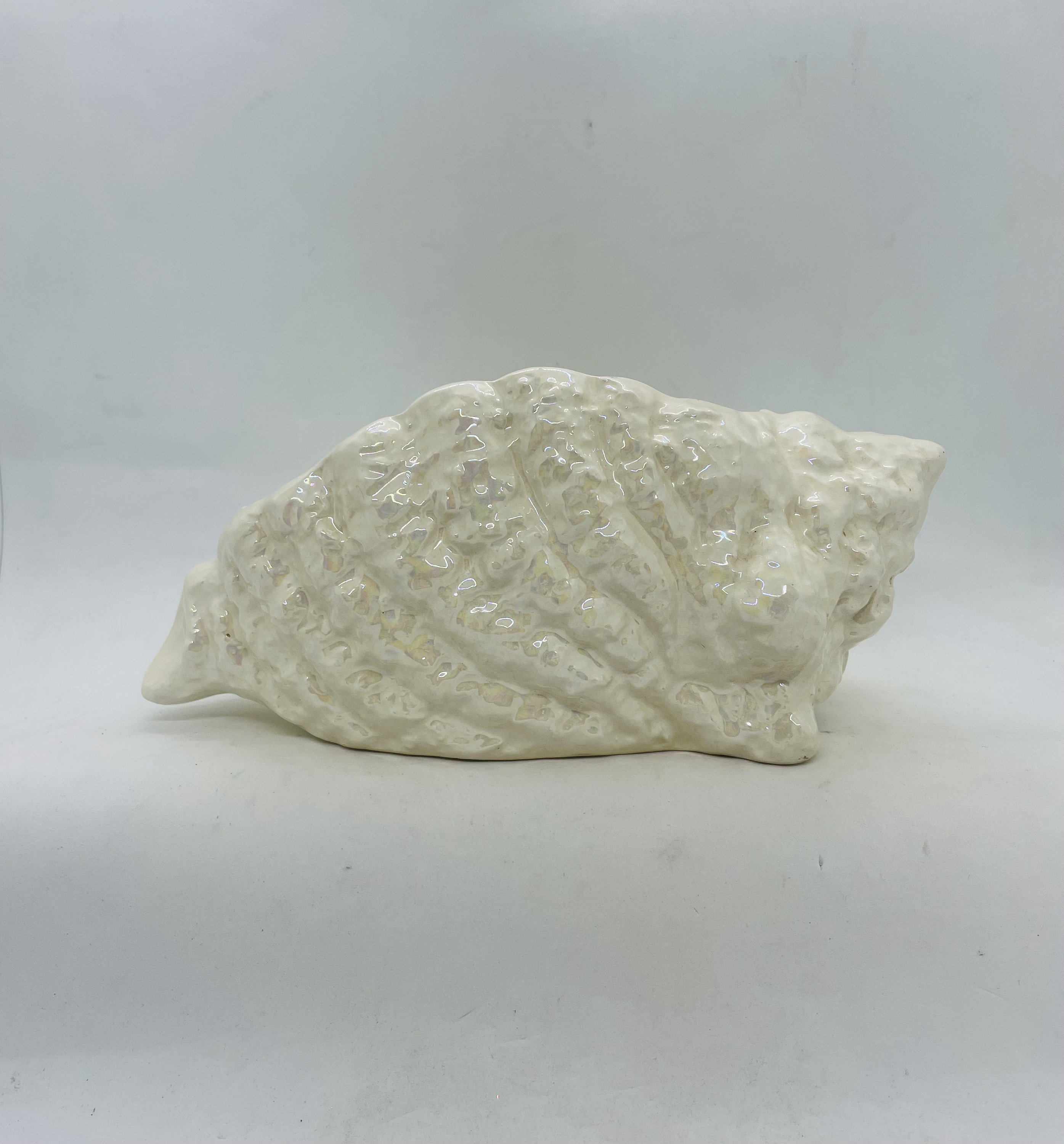 Opalescent Conch Shell Planter Made in Japan, Rainbow - Etsy