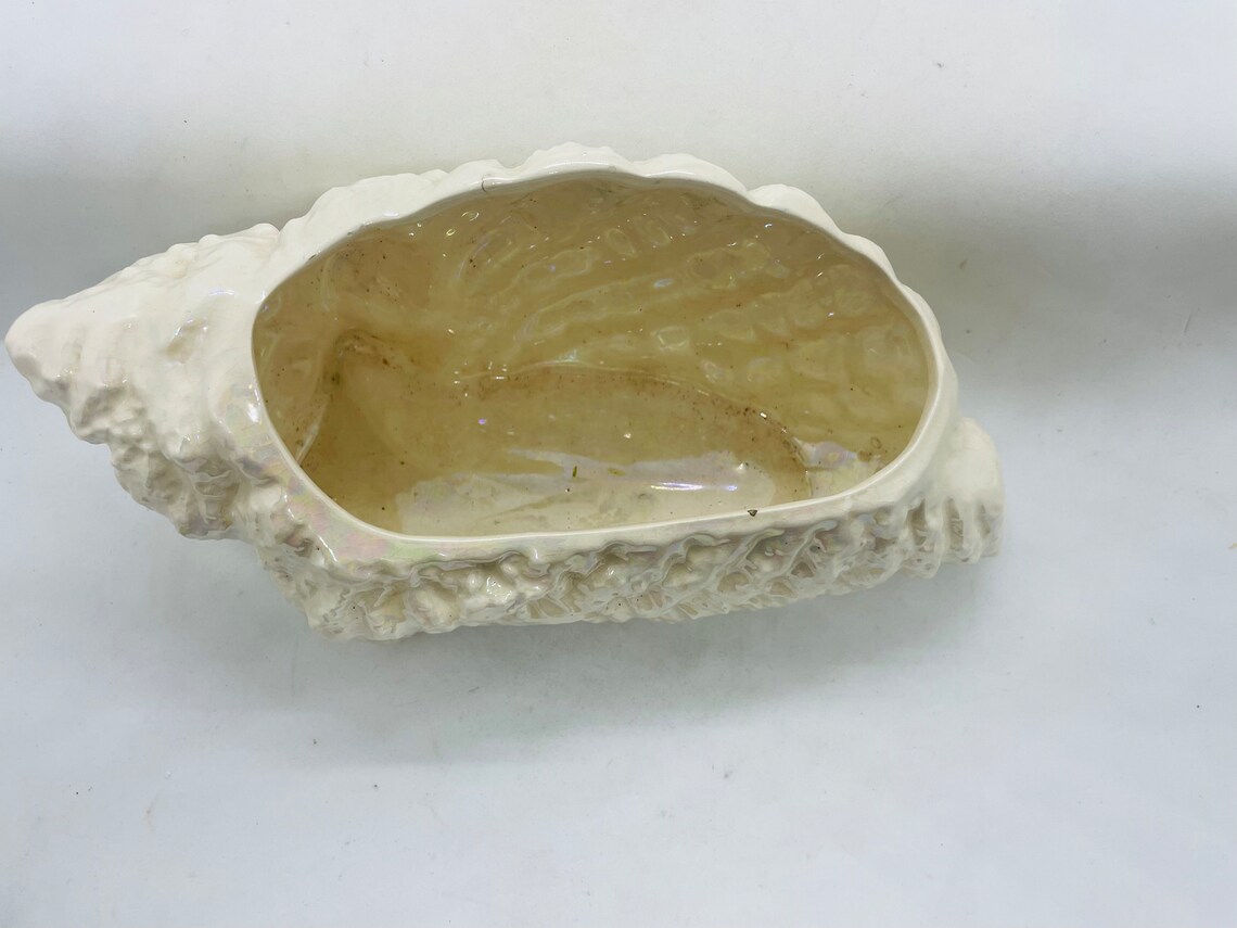 Opalescent Conch Shell Planter Made in Japan, Rainbow - Etsy