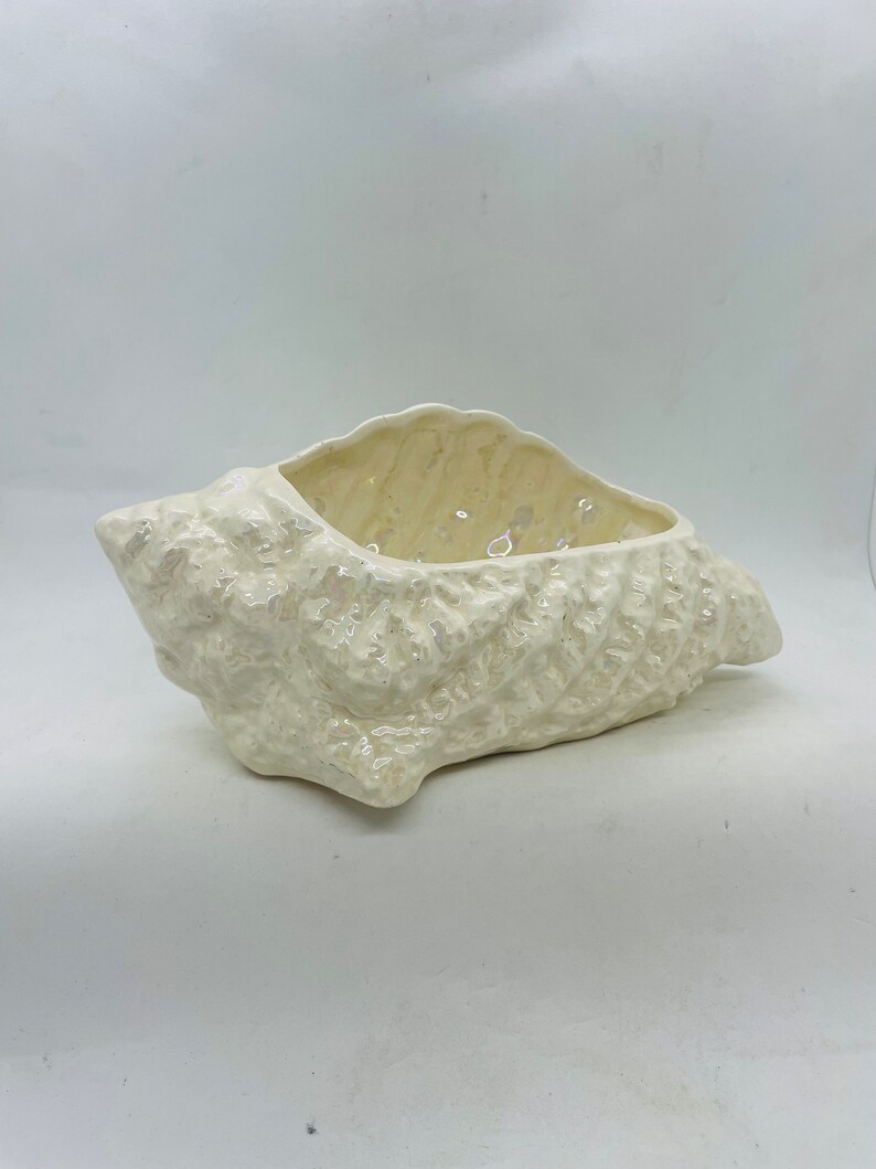 Opalescent Conch Shell Planter Made in Japan, Rainbow - Etsy