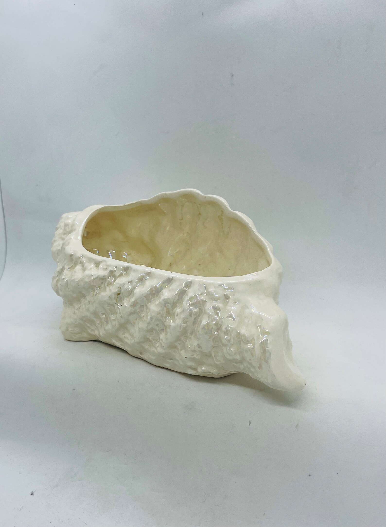 Opalescent Conch Shell Planter- Made in Japan, Rainbow - Etsy