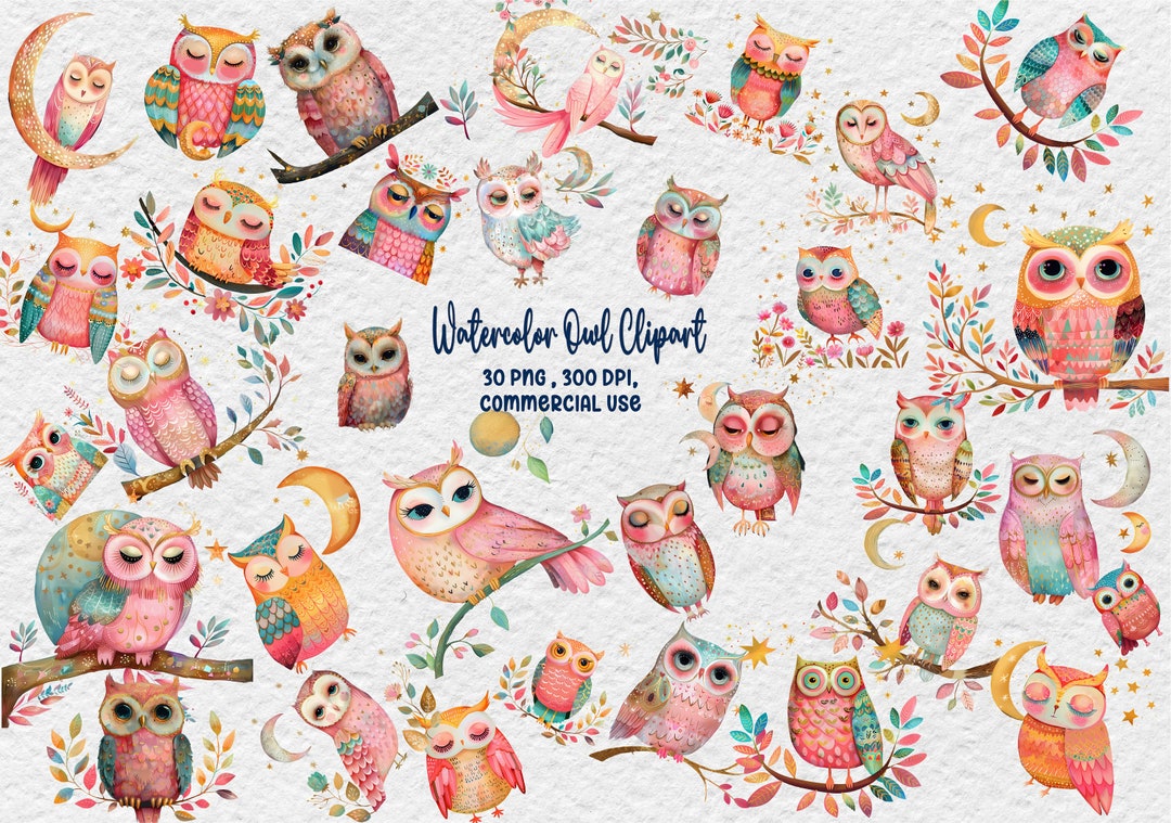 Watercolor Whimsical Owl Clipart Png Bundle , Cute Nursery Owl Art ...