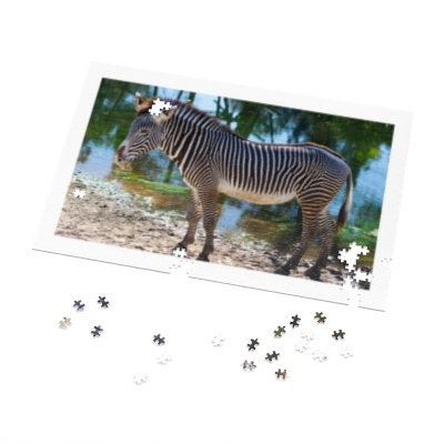 Jigsaw Puzzles for Adults, 1000 Piece Puzzle, Zebra Puzzle, Animal ...