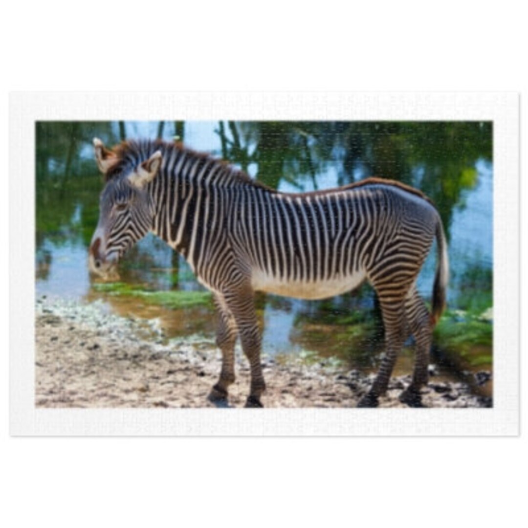 Jigsaw Puzzles for Adults, 1000 Piece Puzzle, Zebra Puzzle, Animal ...