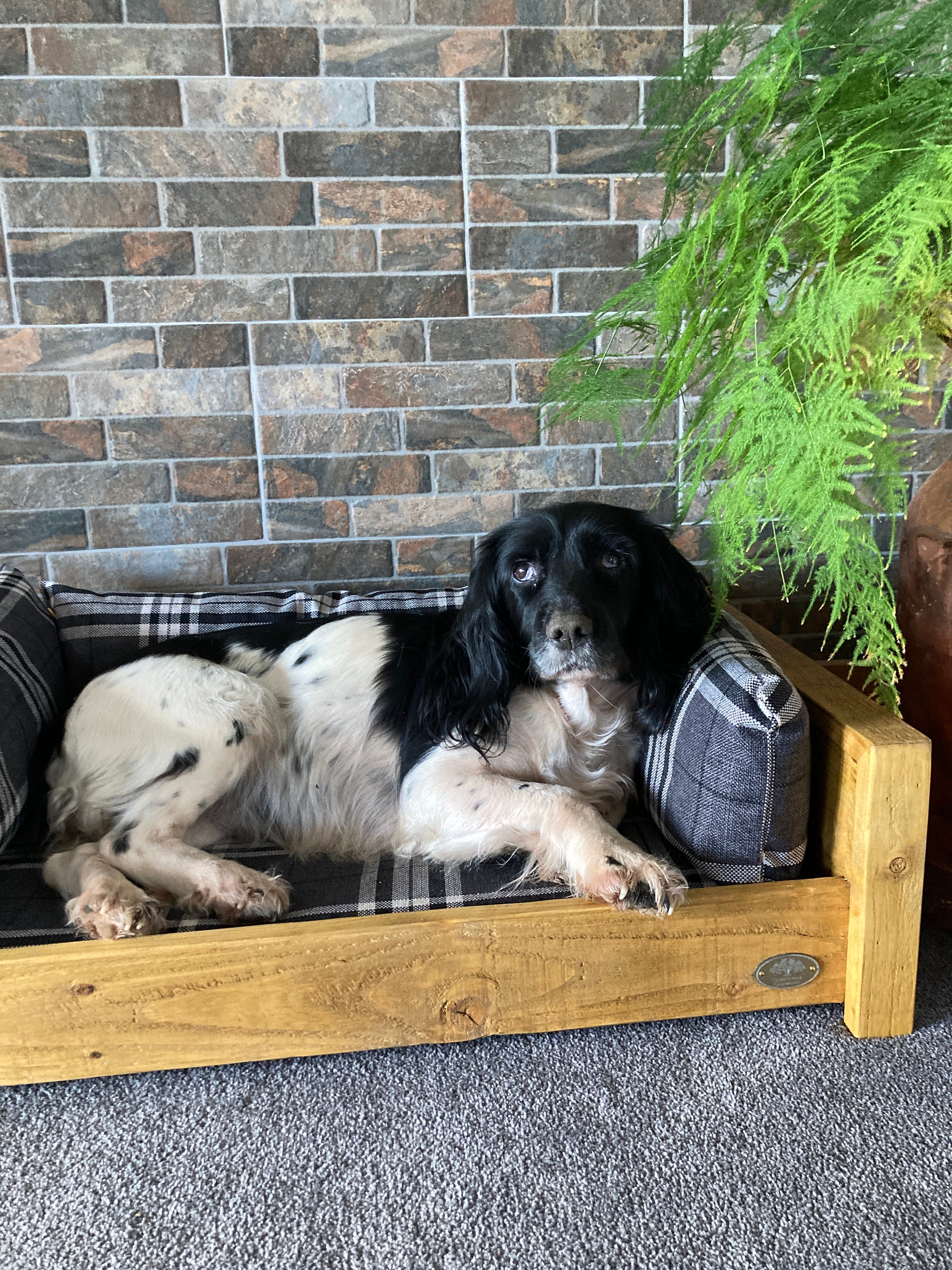 Raised Wooden Rustic Dog Bed - Etsy