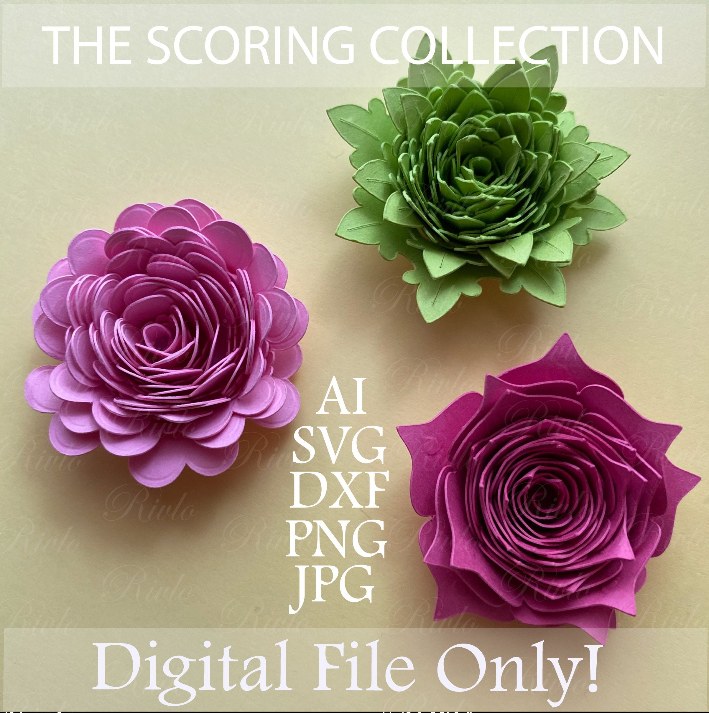 Paper Rose Template Rolled Flower Template 3D Flower SVG Etsy Paper Rose Template Rolled Flower Template 3D Flower SVG Etsy