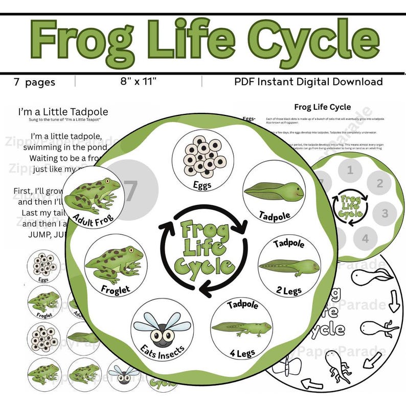 Frog Life Cycle Activity Digital Download // Sequencing //preschool ...