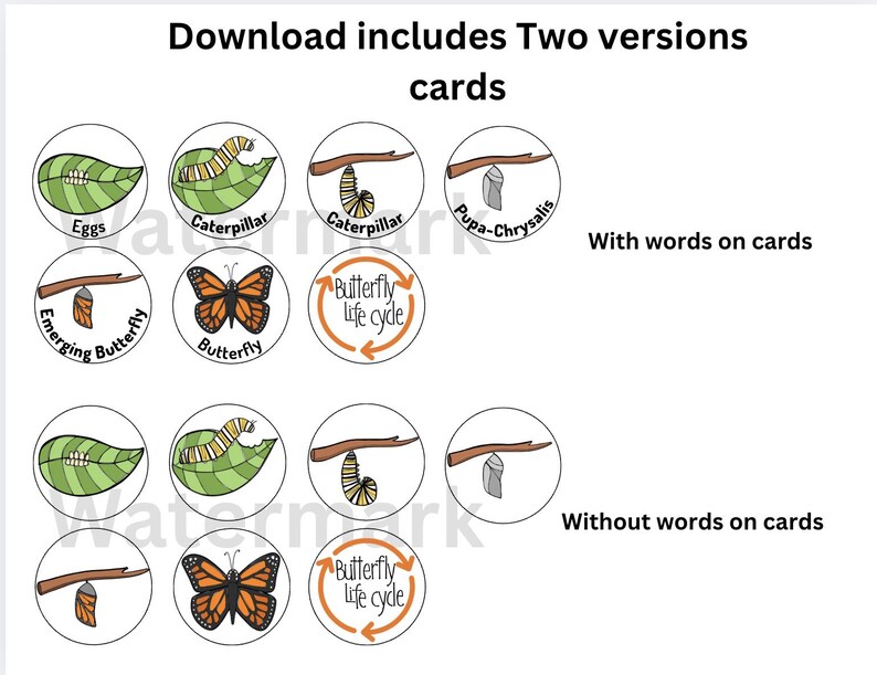 Butterfly Life Cycle Activity Digital Download // Sequencing ...