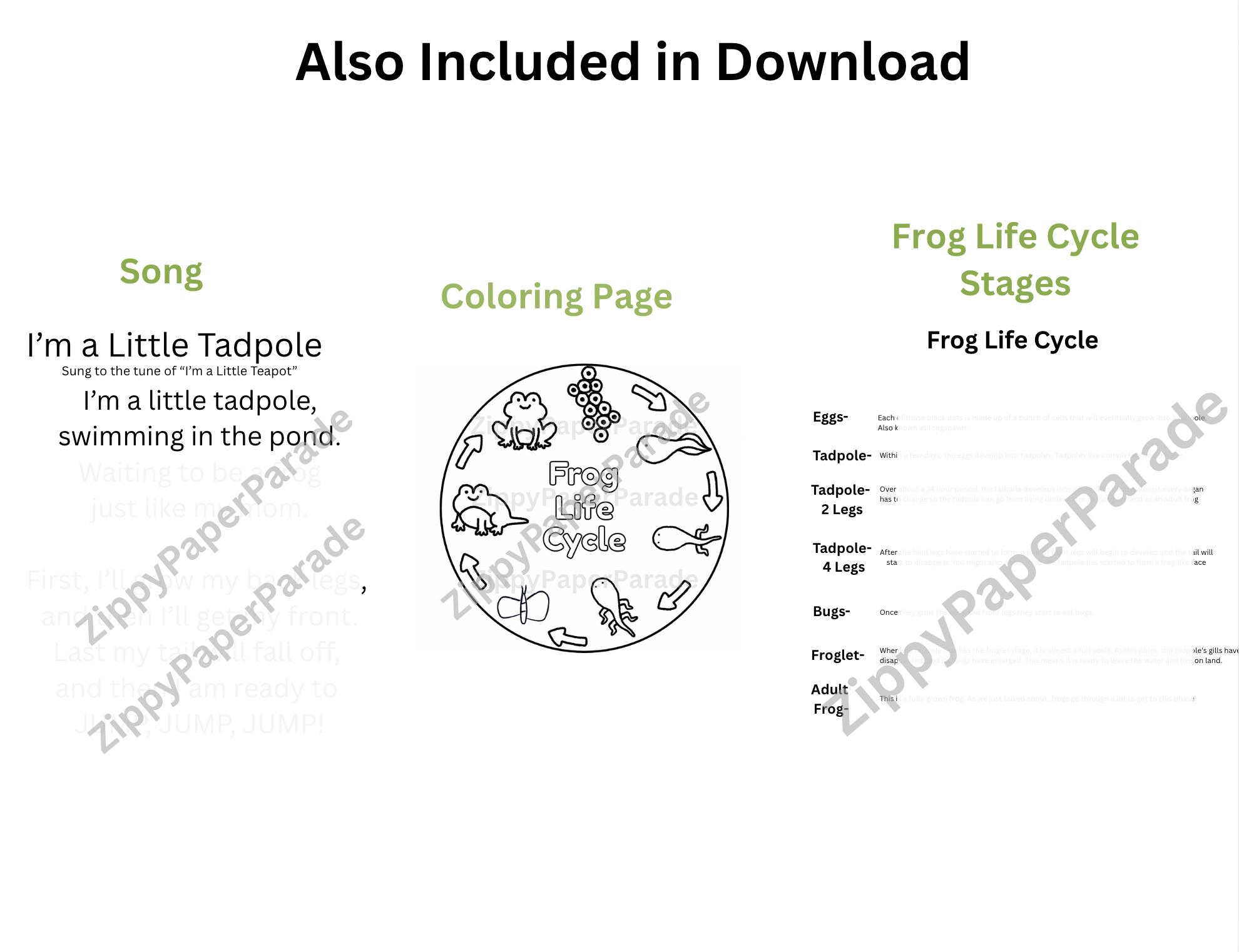 Frog Life Cycle Activity Digital Download // Sequencing //preschool ...