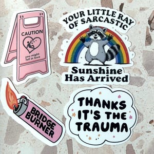 Funny Sarcastic Sticker Pack: Sassy Humor Decals (12 Stickers) - Etsy