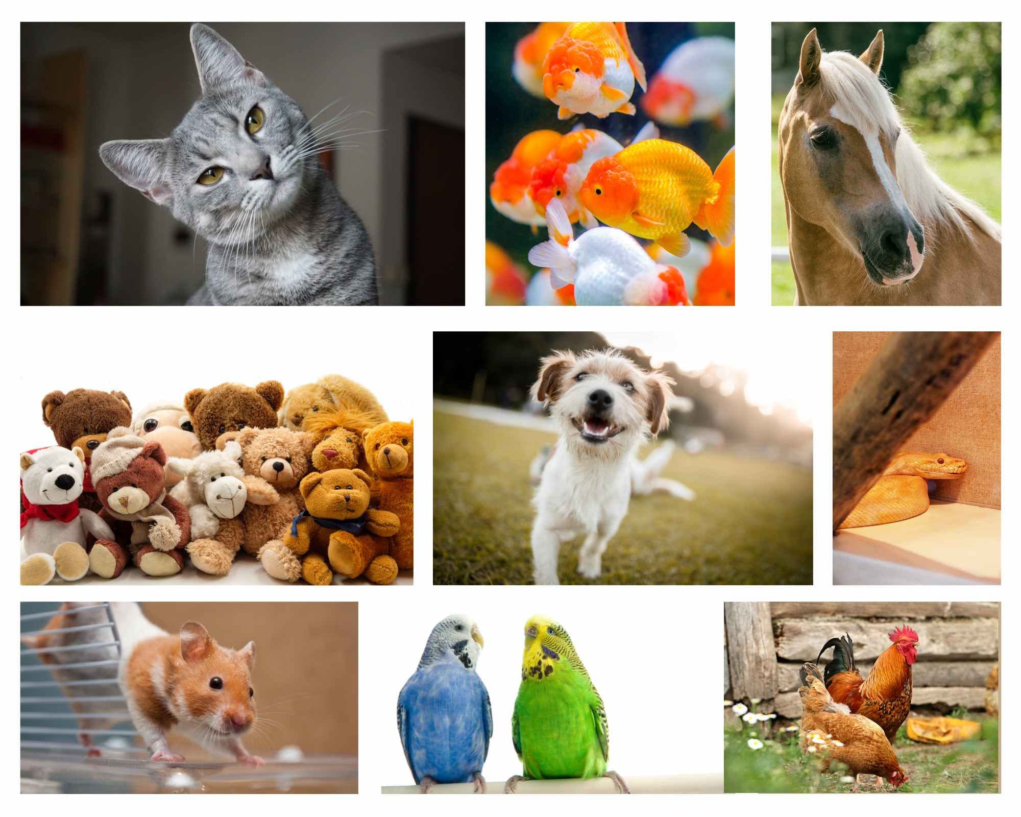 25 Photo Collages – Check-in & Warm-up for Online Meetings - Etsy