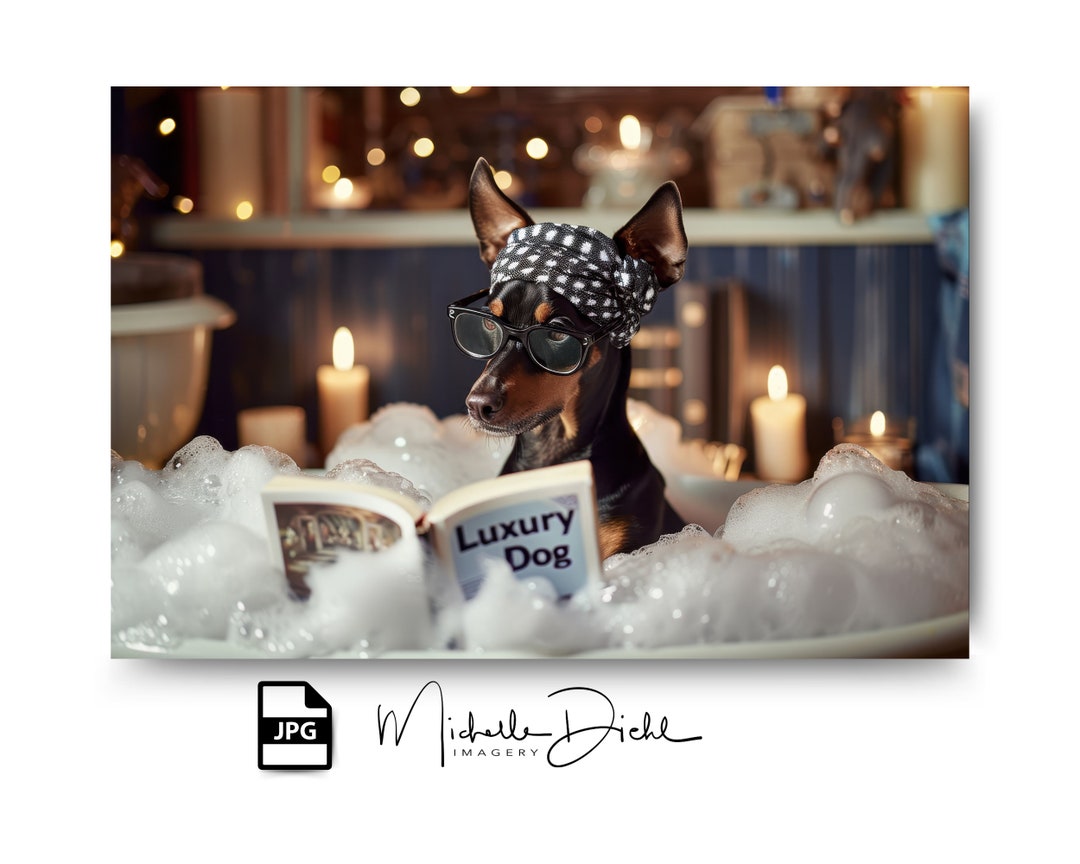 Humorous Miniature Pinscher Bathtub Photo - Digital Download, Wall Art ...