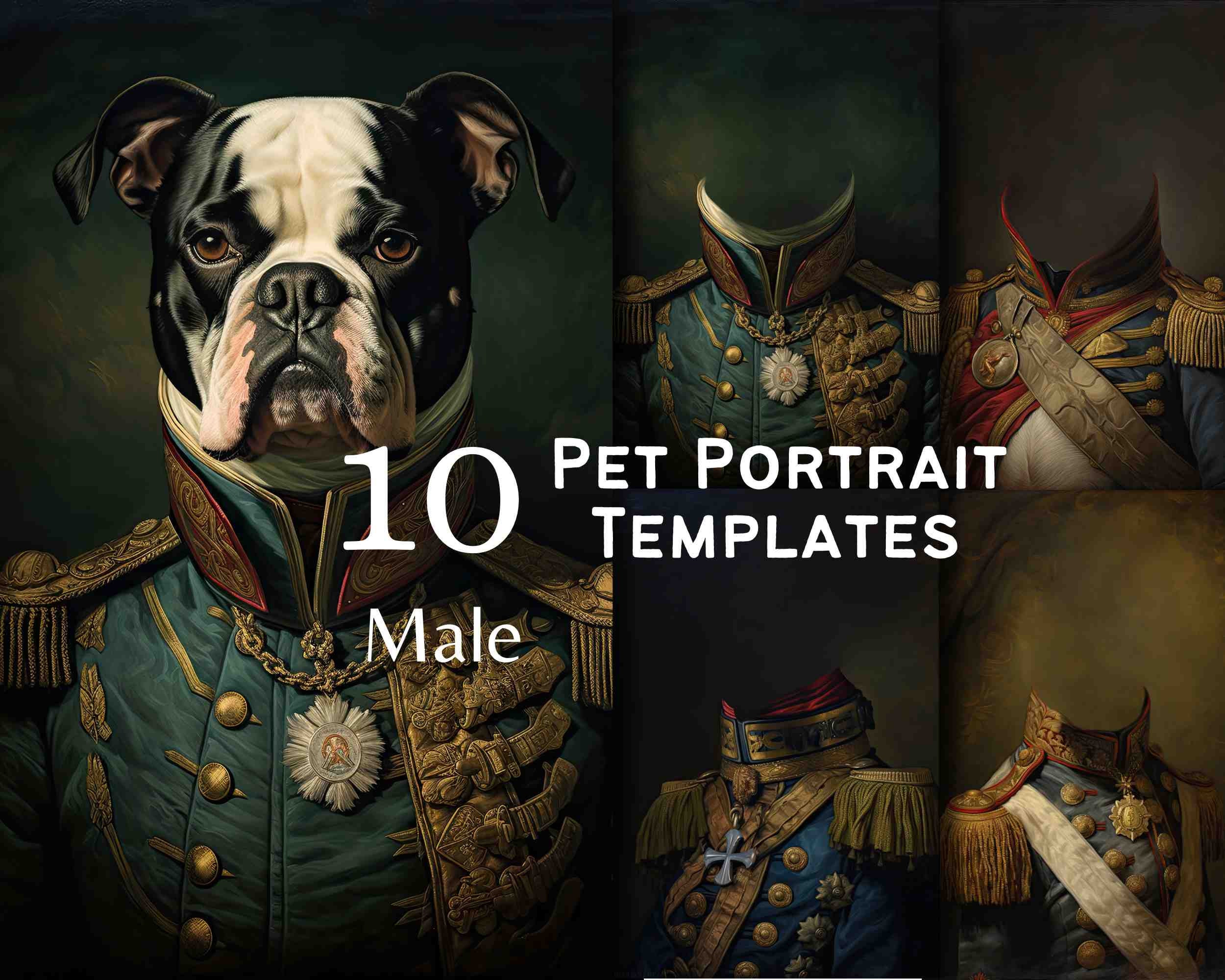 10 Pet Portrait Templates Digital Backgrounds, Digital Download ...