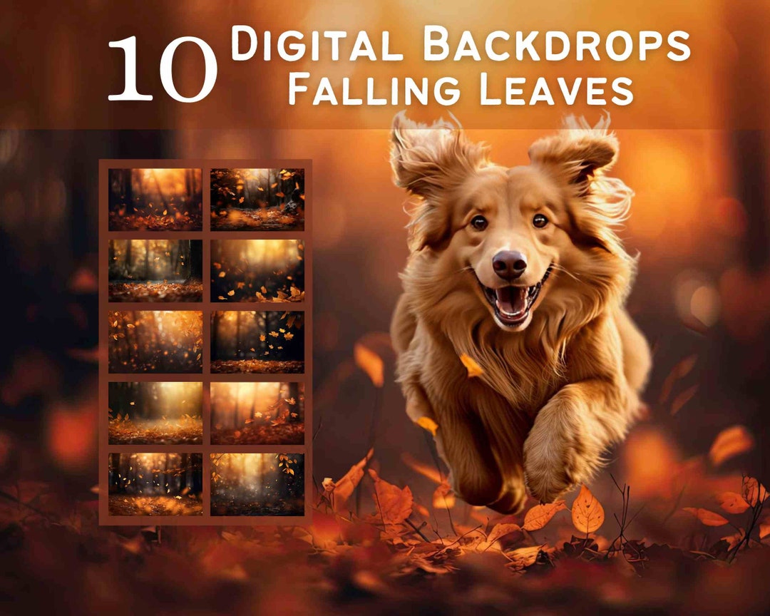 10 Falling Leaves Background, Fall Digital Backdrops for Photography ...