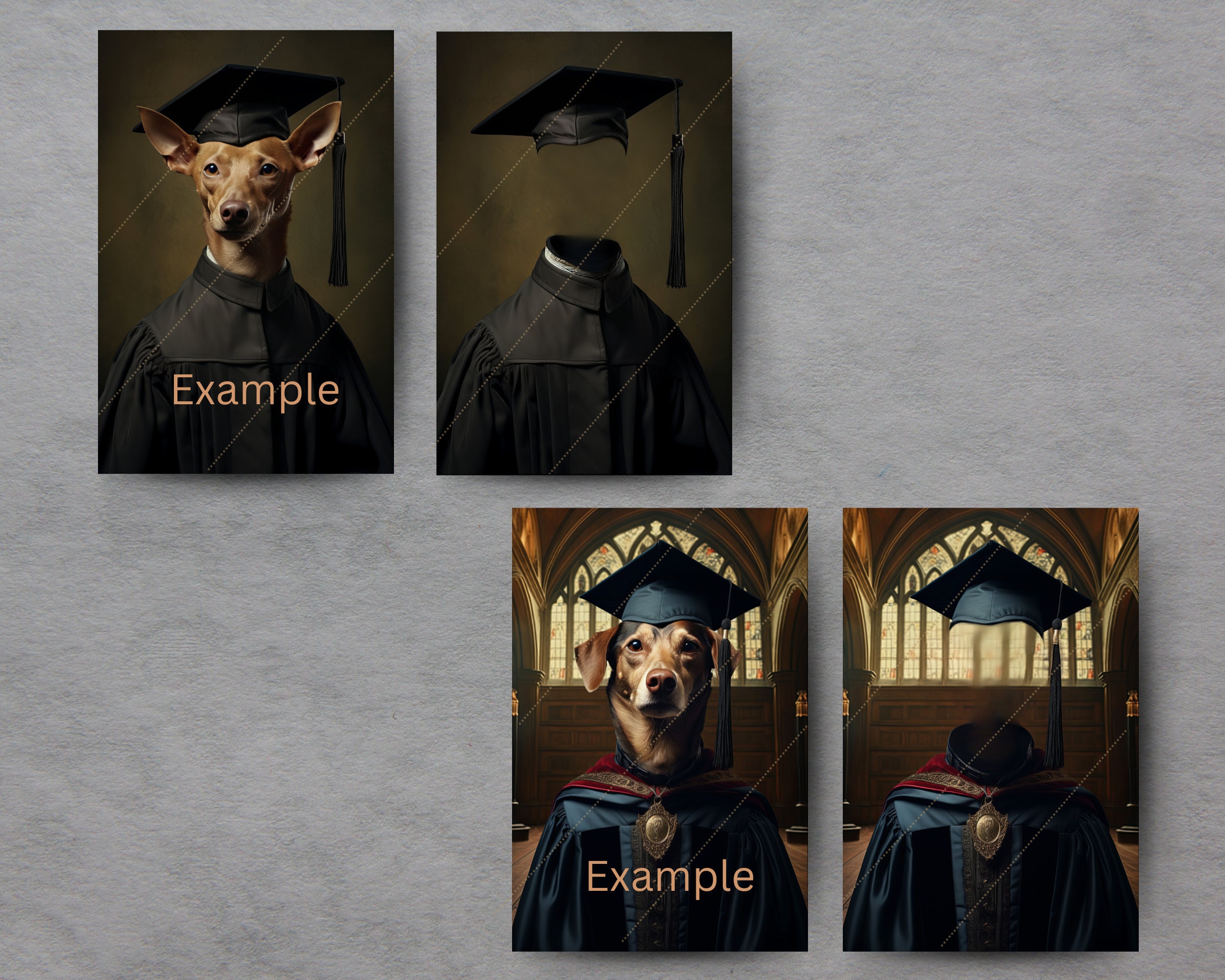 10 Digital Pet Portrait Backgrounds for Fun and Photorealistic Photos ...