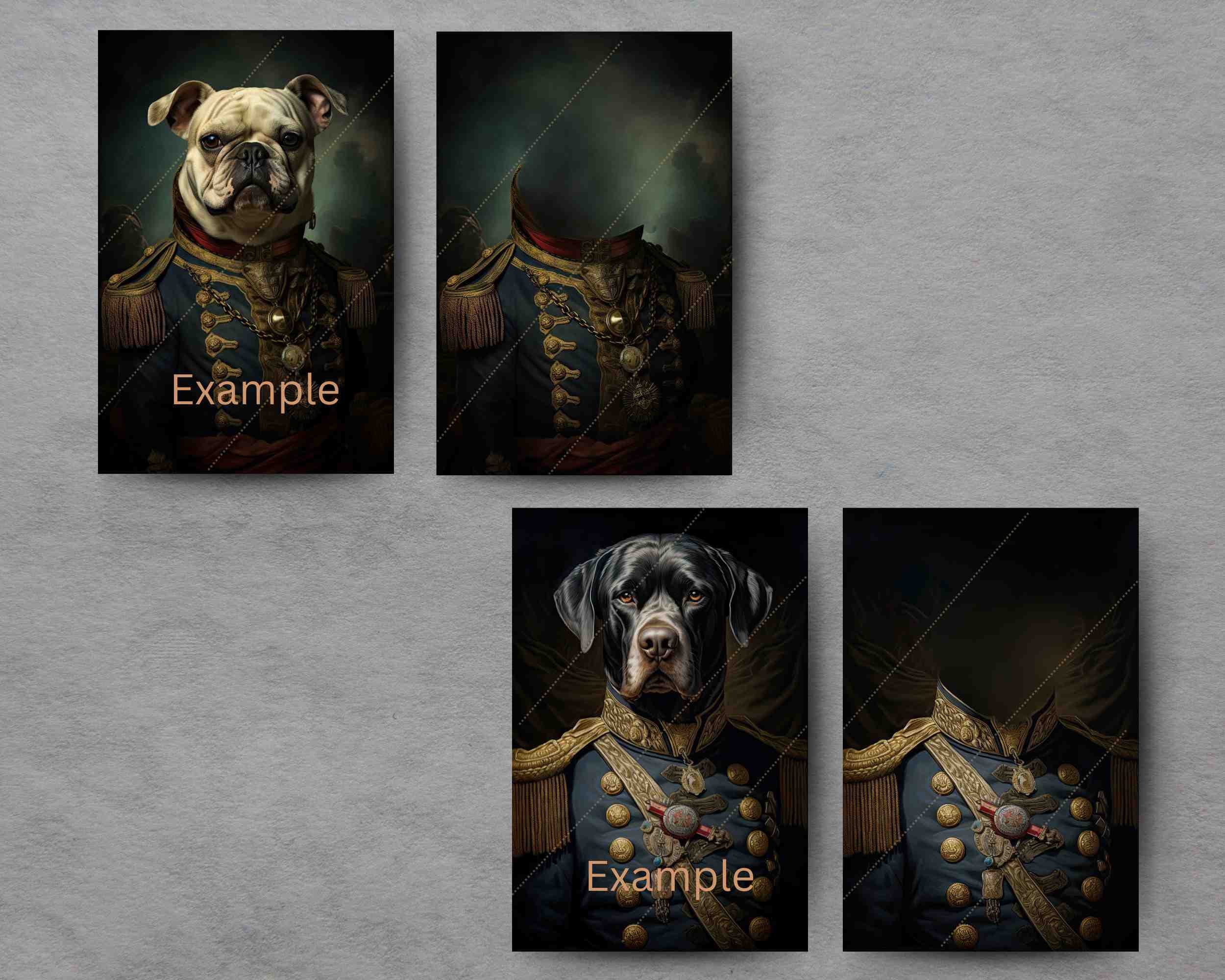 10 Pet Portrait Templates Digital Backgrounds, Digital Download ...