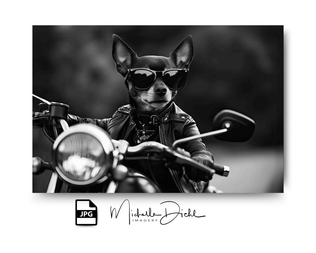 Cool Miniature Pinscher Riding a Motorcycle Digital Print for Dog and ...