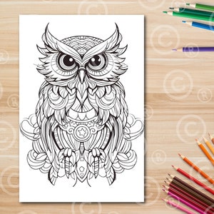 Mandala Owls Printable Coloring Page Owl Coloring Pages for Adults ...