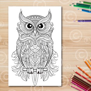 Mandala Owls Printable Coloring Page Owl Coloring Pages for Adults ...