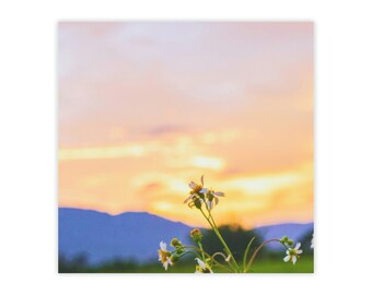 Sage Green Square Grid Sticky Note 50 Sheet 3M Post-it Notes Green Cute ...