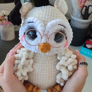 Crochet Owl Plushie: Amigurumi Bird Lover Gift - Etsy