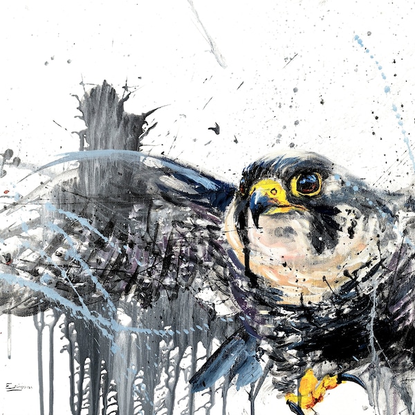 Peregrine Falcon - Etsy